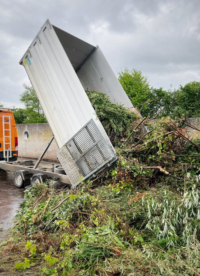 Pruning Waste with Firewood in the Garden Stock Photo - Image of ...