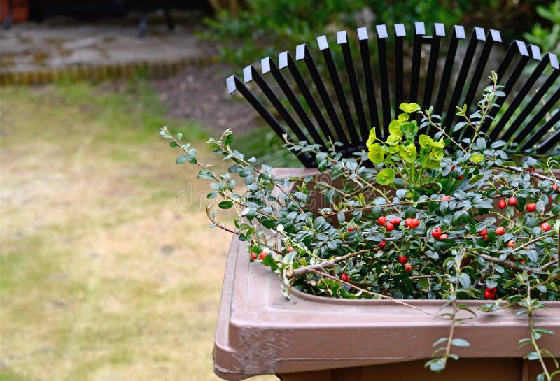 Garden Waste Recycling stock image. Image of nature, concept - 30803865