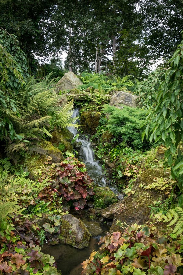 Garden Waterfall stock image. Image of calm, rocks, rockery - 44164179