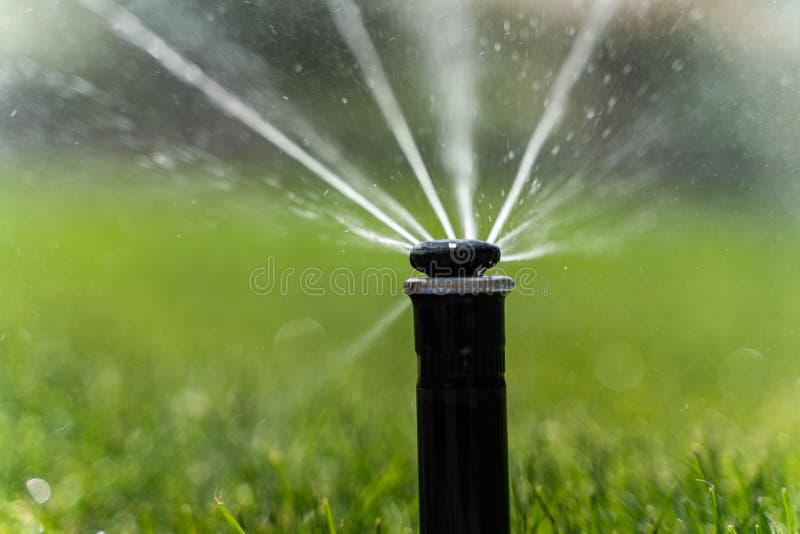 Garden Watering System with Streaming Water Stock Image - Image of ...