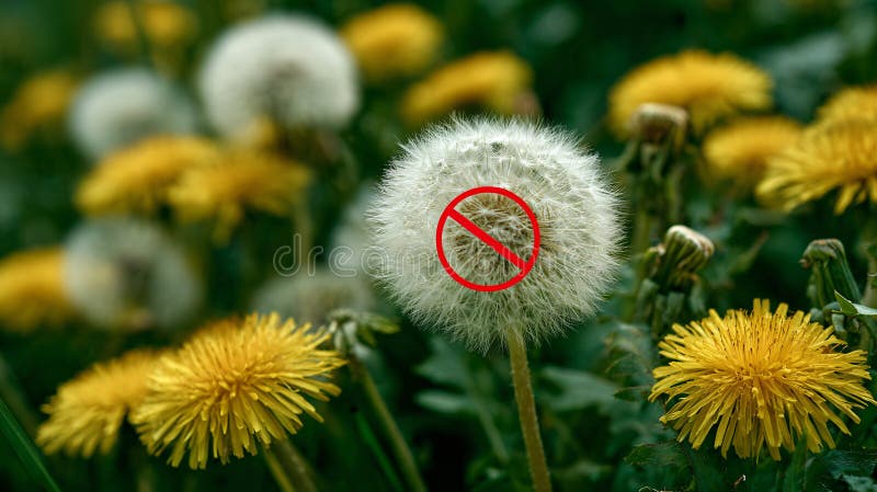 Garden Weeds Monster Symbol Dandelion Weed Ban Stock Illustration ...