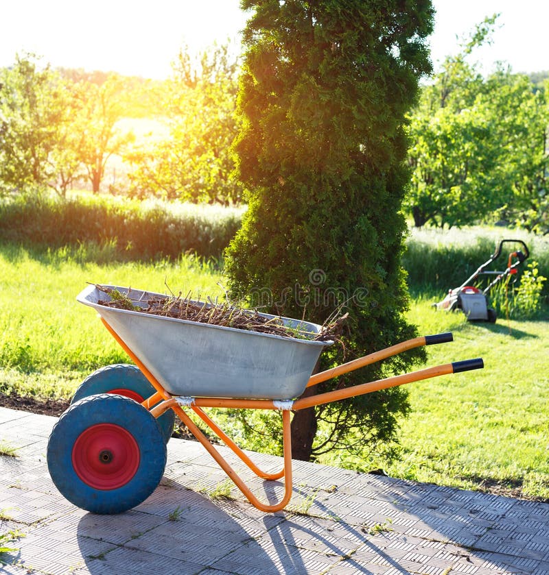 Garden wheelbarrow stock photo. Image of farm, hobby - 220456388