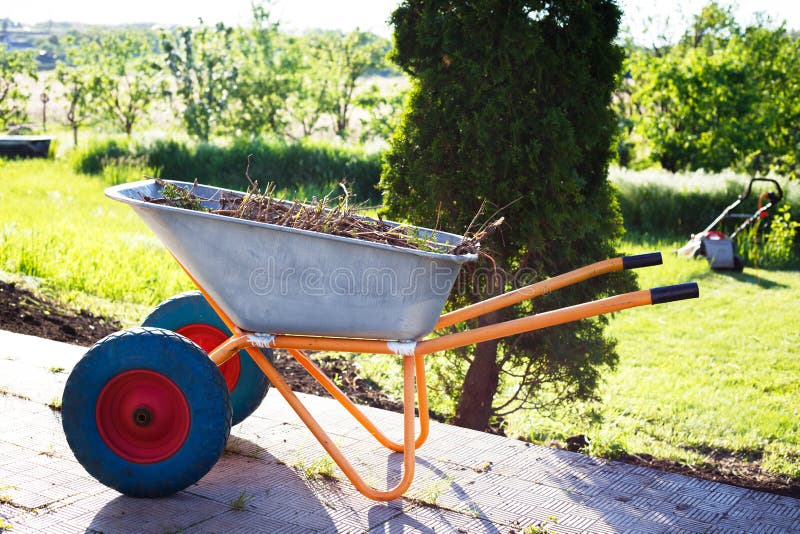Garden Wheelbarrow on Background of the Lawn Stock Image - Image of ...