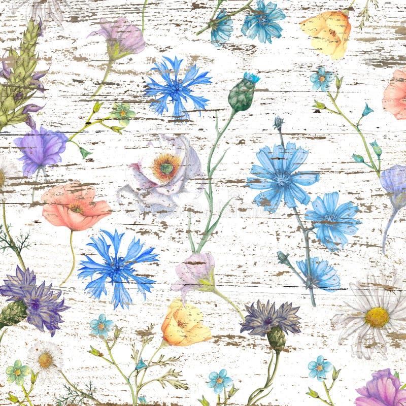 Garden wildflowers pattern stock image. Image of creative - 108305673