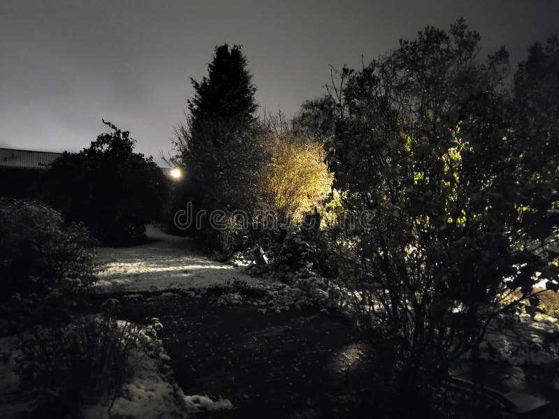 Garden in the Winter Night in Denmark Stock Image - Image of garden ...