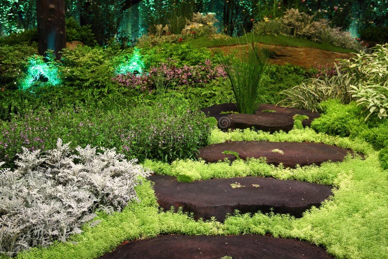 Garden with Wooden Stepping Path Landscape Stock Image - Image of path ...