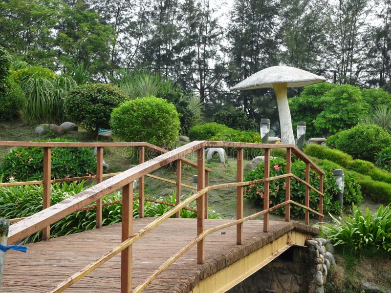 Garden with Wooden Walkway in India Stock Photo - Image of tree, plant ...