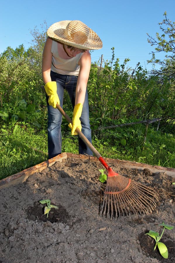 Garden work stock photo. Image of nature, people, fork - 1067652