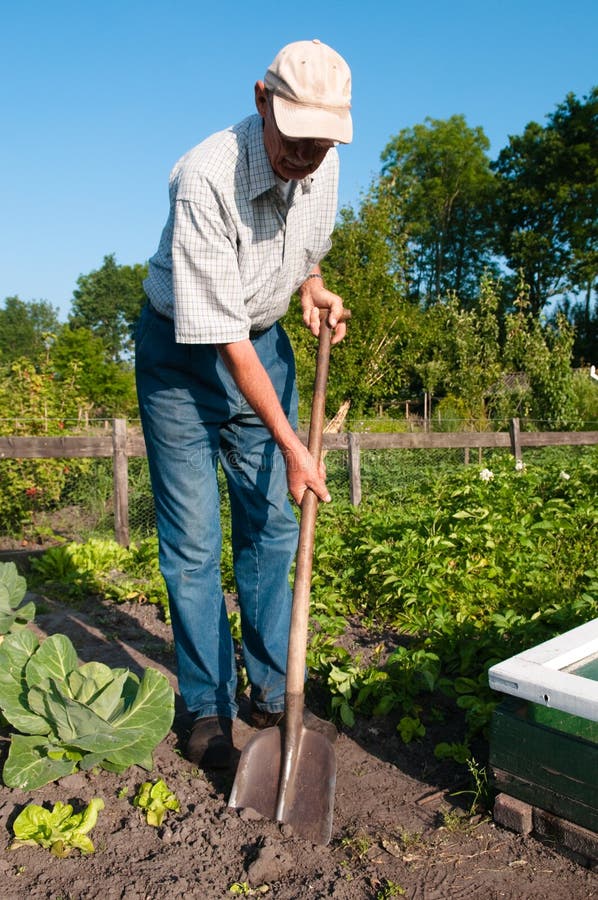 Man weeding his garden stock image. Image of male, cages - 15238427