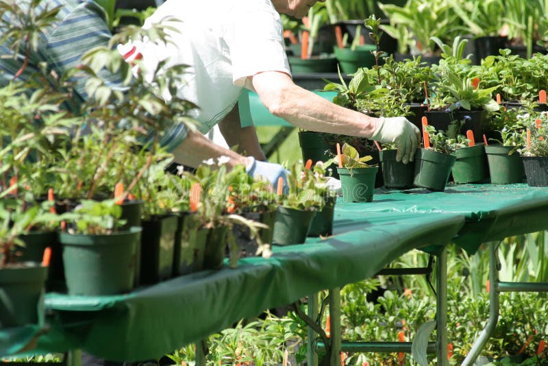 Garden work stock photo. Image of work, worker, gardener - 725154