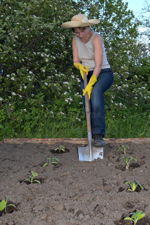 Garden work stock image. Image of safety, soil, spring - 892117