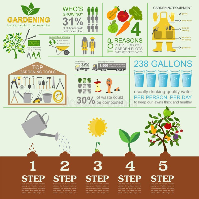 Infographics about Benefits of Community Gardening Stock Vector ...