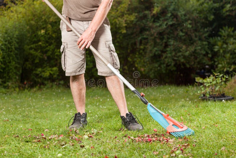 Yard work stock image. Image of spring, march, full, color - 30345385
