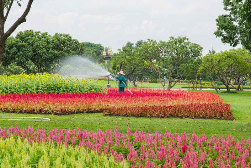 Garden work at spring stock photo. Image of park, tree - 58642976