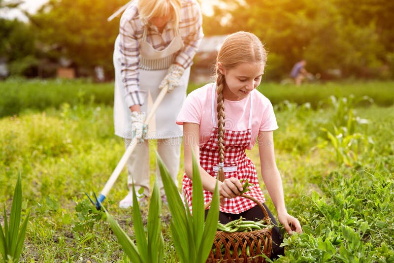 Garden work stock photo. Image of bright, lifestyle, farming - 76738974
