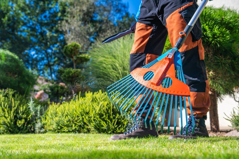 Garden Worker with Plastic Modern Rake in His Hands Stock Photo - Image ...