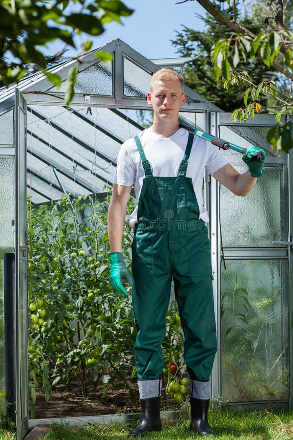 Garden Worker Standing in Front of Glasshouse Stock Image - Image of ...