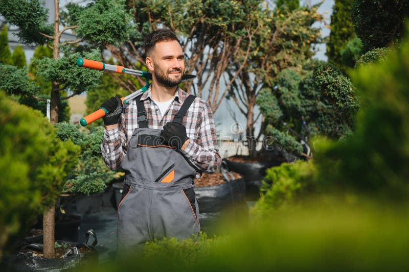 Garden Worker Trimming Trees with Scissors Stock Image - Image of ...