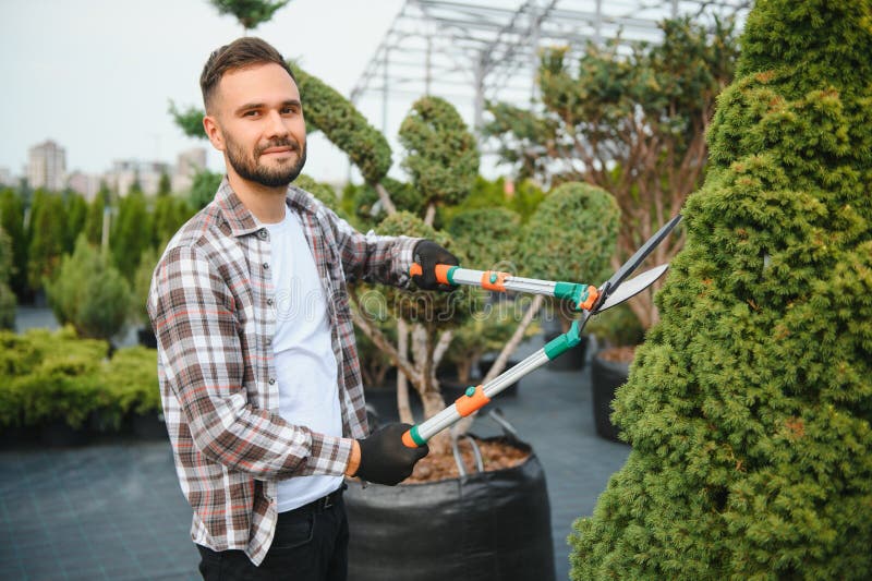 Garden Worker Trimming Trees with Scissors. Garden Shop Stock Image ...