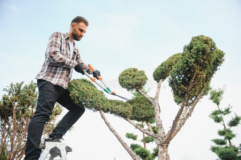 Garden Worker Trimming Trees with Scissors. Garden Shop Stock Image ...
