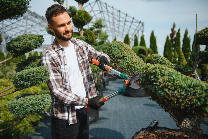 Garden Worker Trimming Trees with Scissors. Garden Shop Stock Image ...