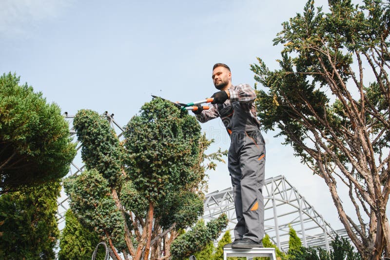 Garden Worker Trimming Trees with Scissors. Garden Shop Stock Image ...