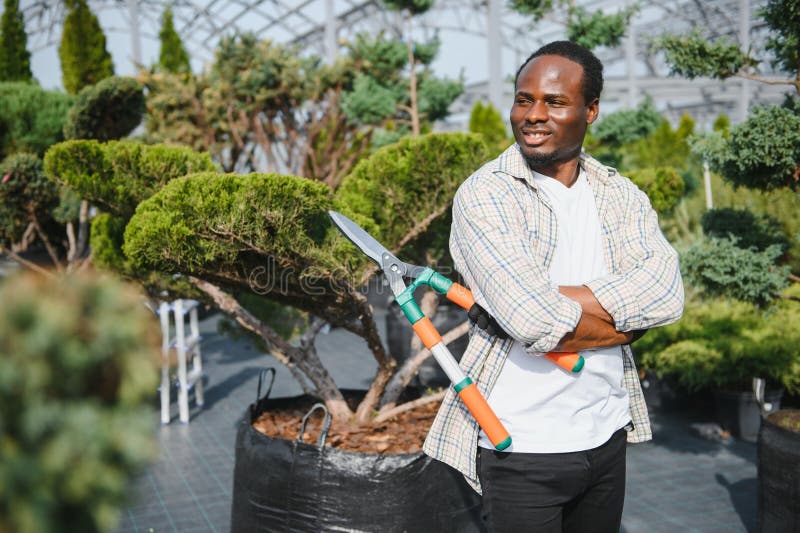 Garden Worker Trimming Trees with Scissors. Garden Shop Stock Photo ...