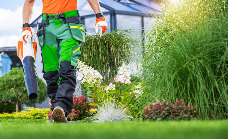 Garden Worker Walking Along Back Yard with Air Blower Stock Image ...