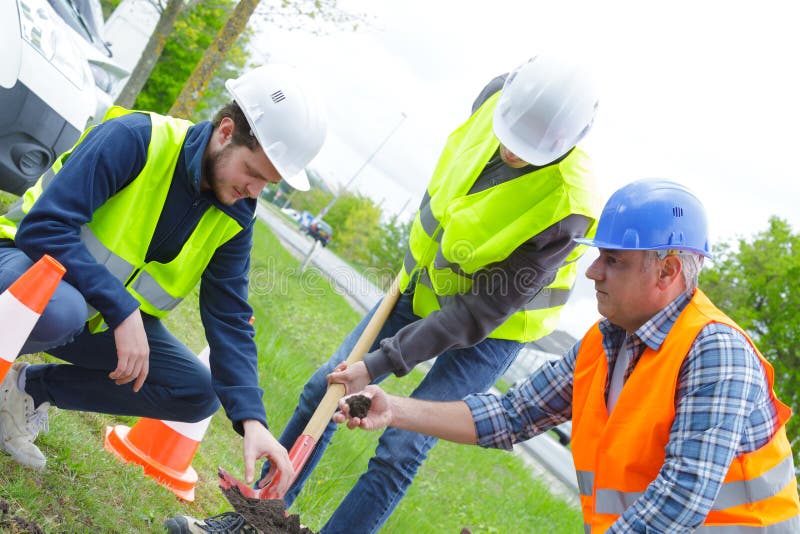 Garden Workers Digging in Park Stock Image - Image of garden, vienna ...