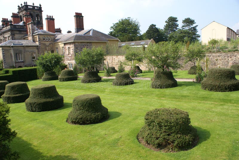 Garden. Yew Topiary. Topiary Trees Stock Photo - Image of attraction ...
