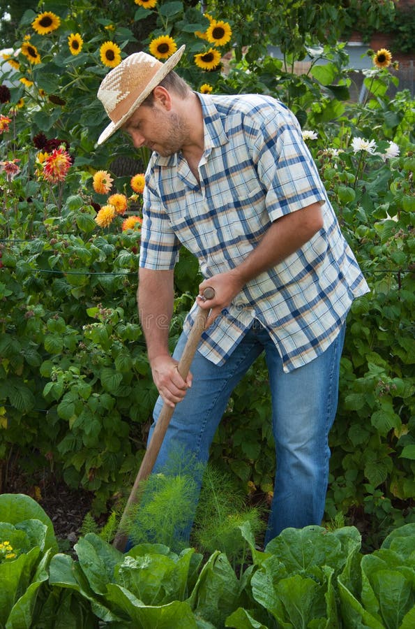 Gardener stock image. Image of hats, vagetable, vegetables - 27906473