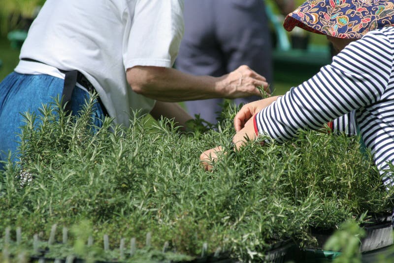 Garden work stock photo. Image of work, worker, gardener - 725154
