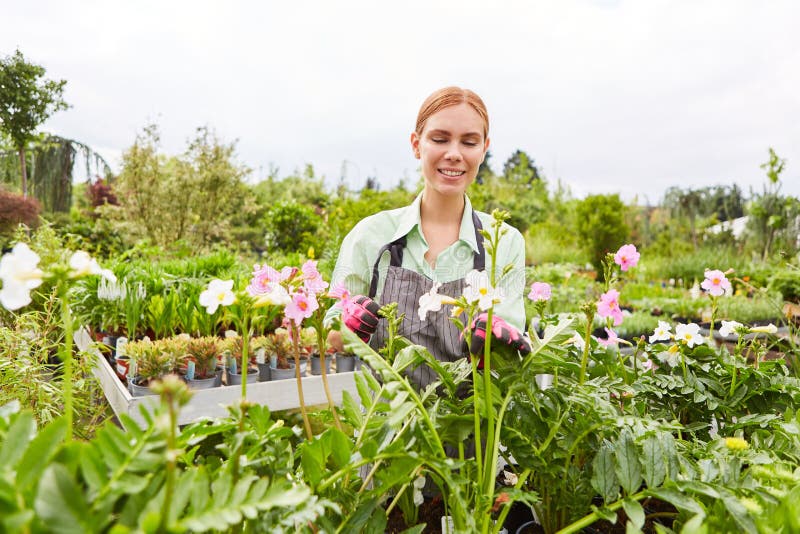 Gardener Apprentice among Flowers and Plants Stock Photo - Image of ...