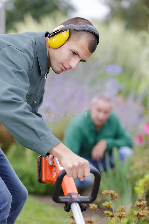 Gardener Apprentice at Work Stock Photo - Image of procedure ...