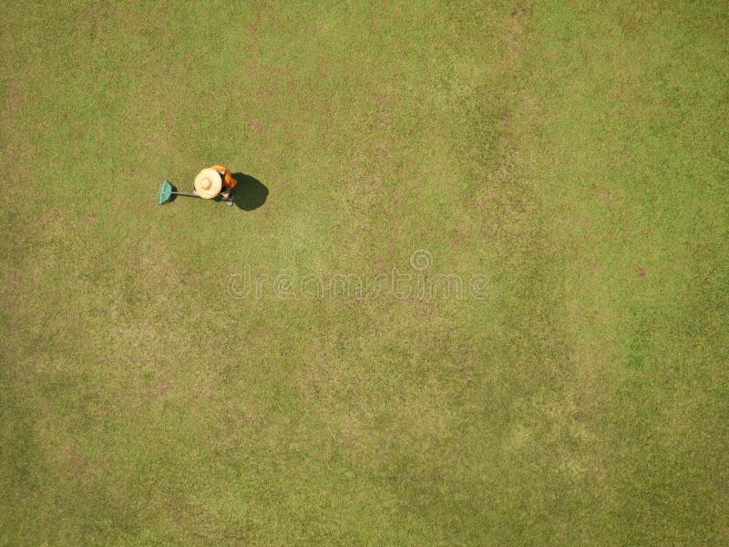 Gardener bird view stock photo. Image of yard, green - 14675608