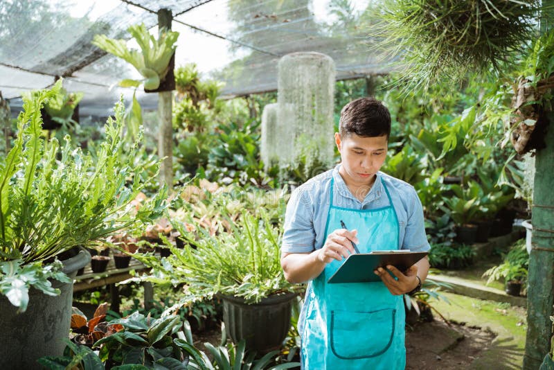 Male Gardener Checking Flower Pot Stock Photos - Free & Royalty-Free ...