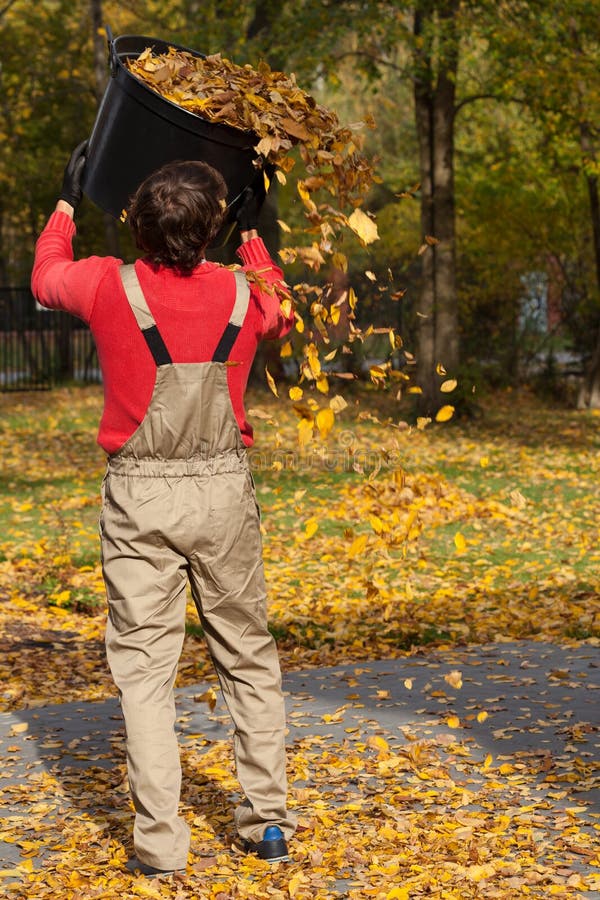 Gardener with Bucket Full of Leaves Stock Image - Image of botanical ...