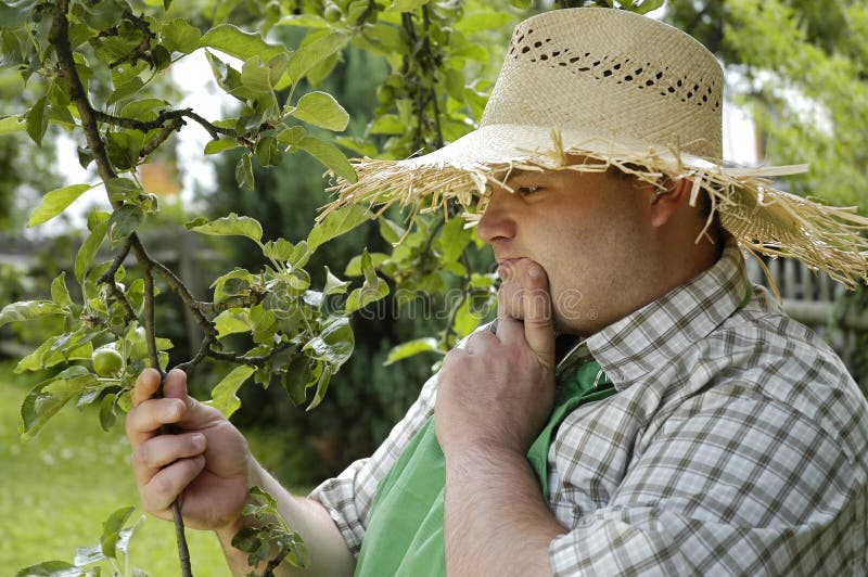 Gardener: checking stock photo. Image of looking, pleased - 278562