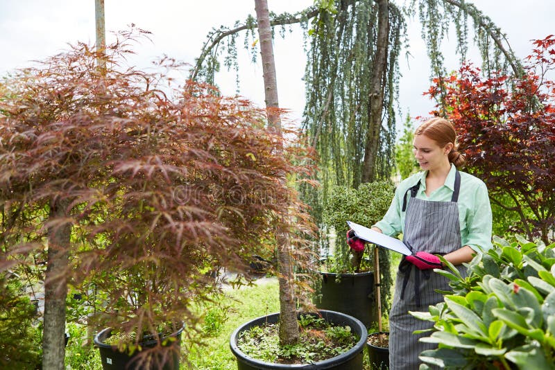 Gardener with Clipboard Checks Tree Growth Stock Image - Image of ...