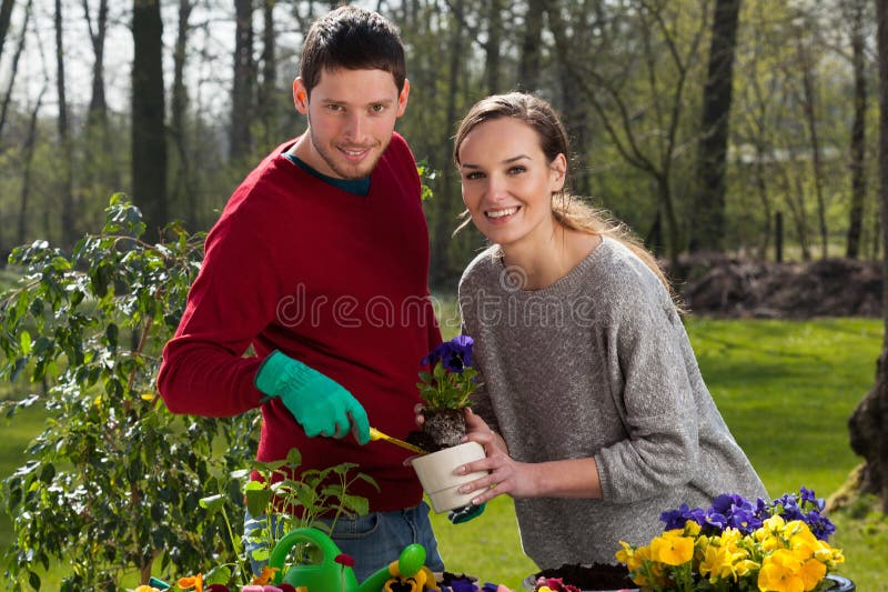 Couple Planting Plant in Garden Stock Image - Image of hobby, people ...