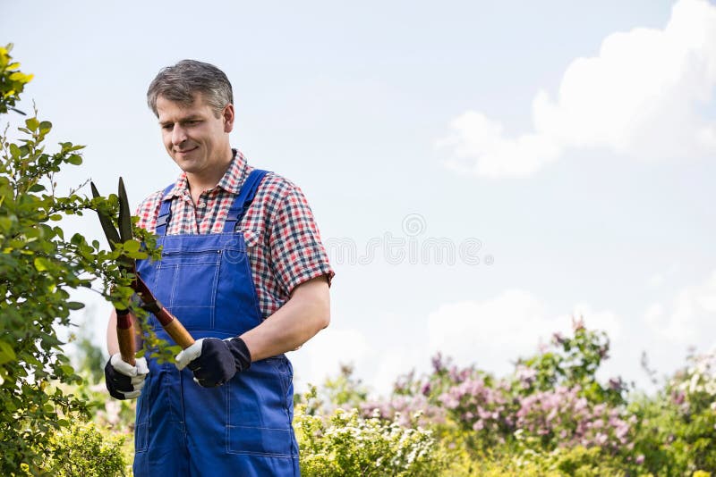 Gardener Cutting Branches at Plant Nursery Stock Photo - Image of ...