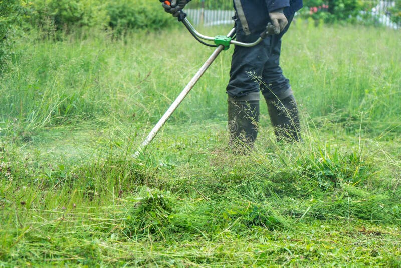 The Gardener Cutting Grass by Lawn Mower Stock Image - Image of ...
