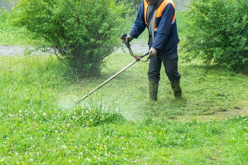 The Gardener Cutting Grass by Lawn Mower Stock Image - Image of garden ...