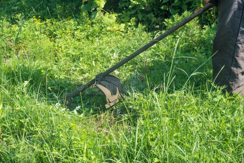 The Gardener Cutting Grass by Lawn Mower Stock Image - Image of mowing ...
