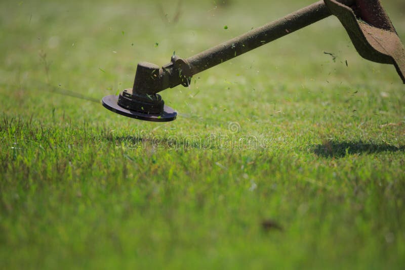 The Gardener Cutting Grass by Lawn Mower Stock Image - Image of large ...