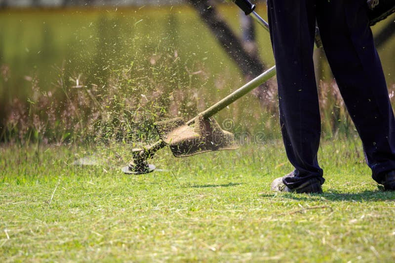 The Gardener Cutting Grass by Lawn Mower Stock Image - Image of cutting ...