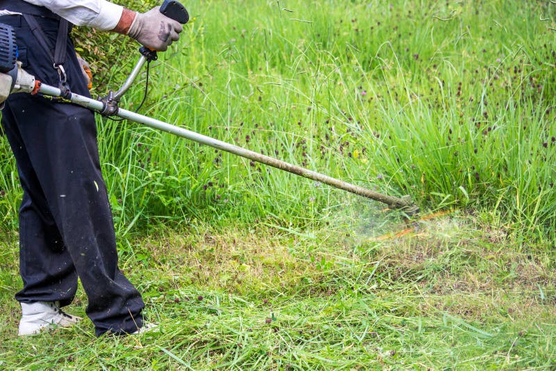 The Gardener Cutting Grass by Lawn Mower Stock Image - Image of green ...