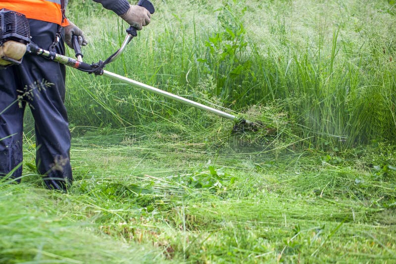 The Gardener Cutting Grass by Lawn Mower Stock Image - Image of farm ...