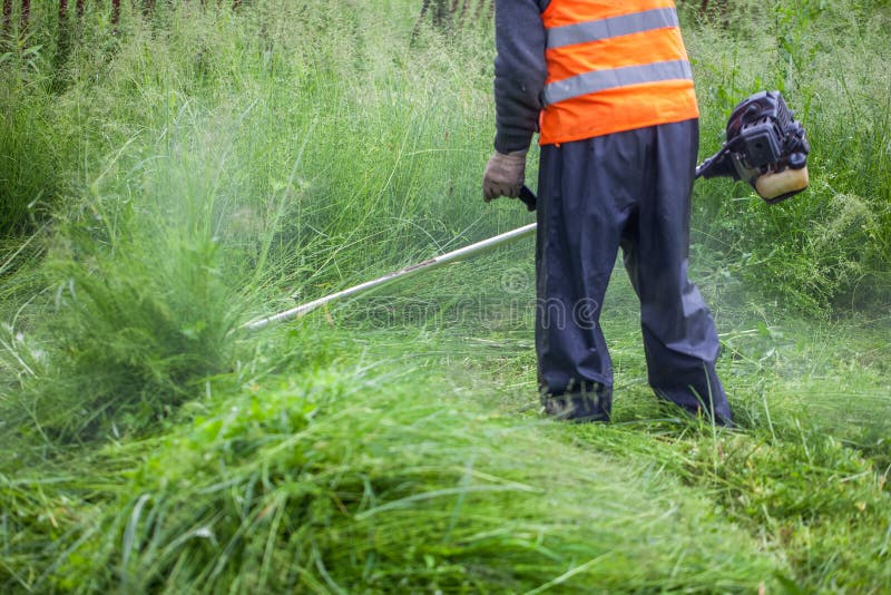 The Gardener Cutting Grass by Lawn Mower Stock Image - Image of cutter ...