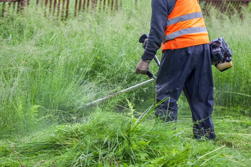 The Gardener Cutting Grass by Lawn Mower Stock Photo - Image of cutter ...